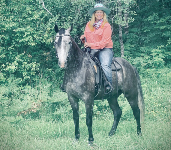 Equestrian orienteering events this weekend in Florence County | News ...